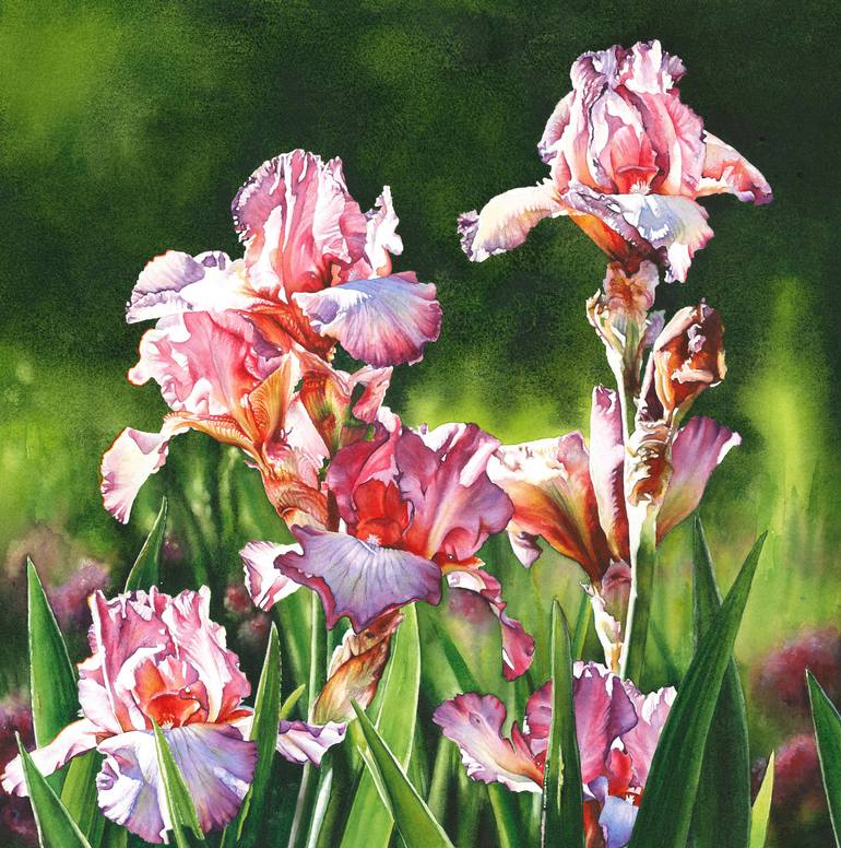 Lilac Rose Iris Painting by Debbie Friis-Pettitt | Saatchi Art