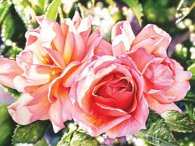 Rose #3 Painting by Debbie Friis-Pettitt | Saatchi Art