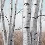 Birch Trees in Early Winter Painting by Christopher Shellhammer ...
