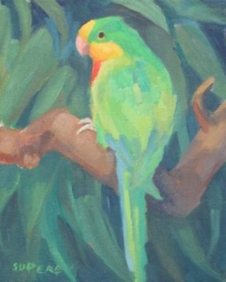 SUPERB PARROT Painting by Helen Fisher | Saatchi Art