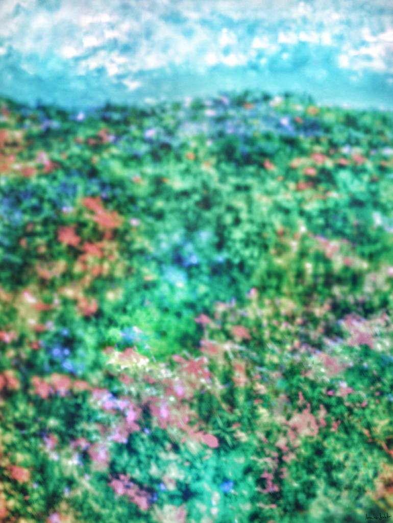 The wildflowers Drawing by Anna Lisa Barbato | Saatchi Art