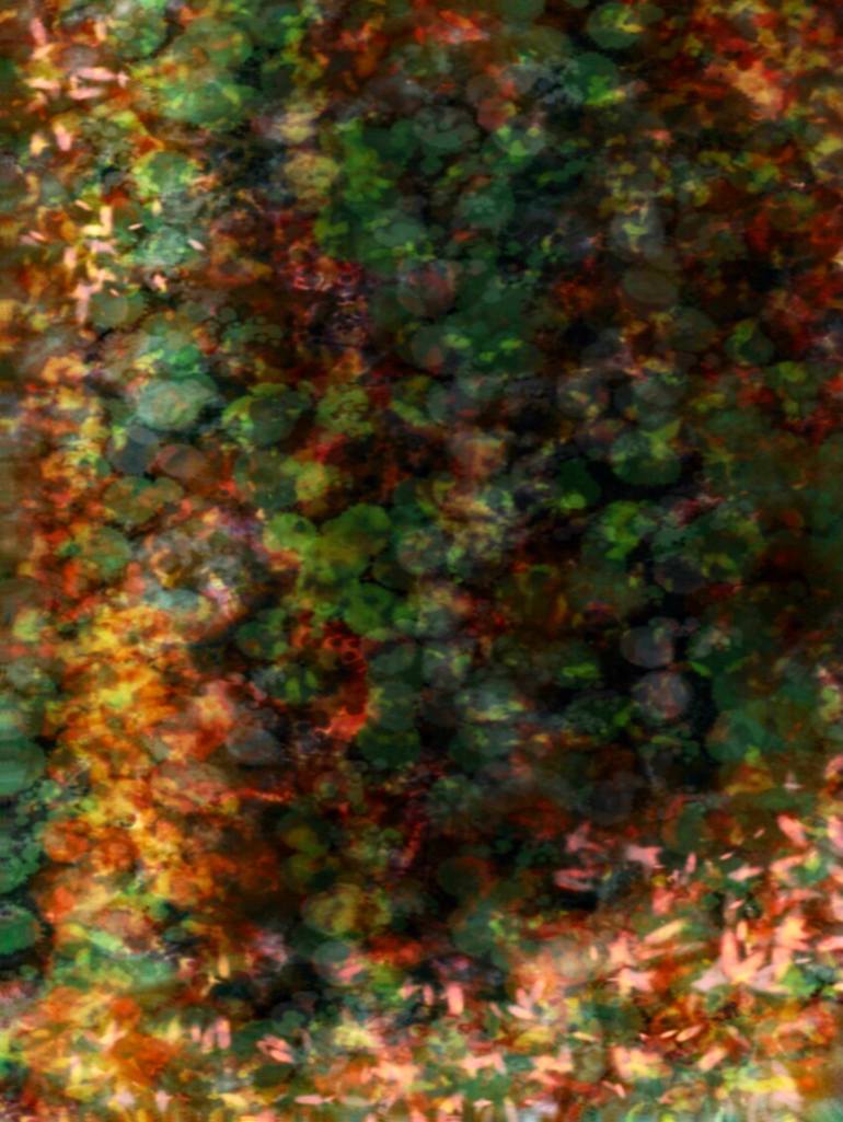 Garden Overgrown Drawing by Anna Lisa Barbato | Saatchi Art