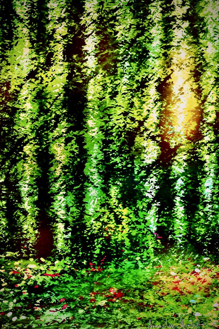 At Forests Edge Drawing by Anna Lisa Barbato | Saatchi Art