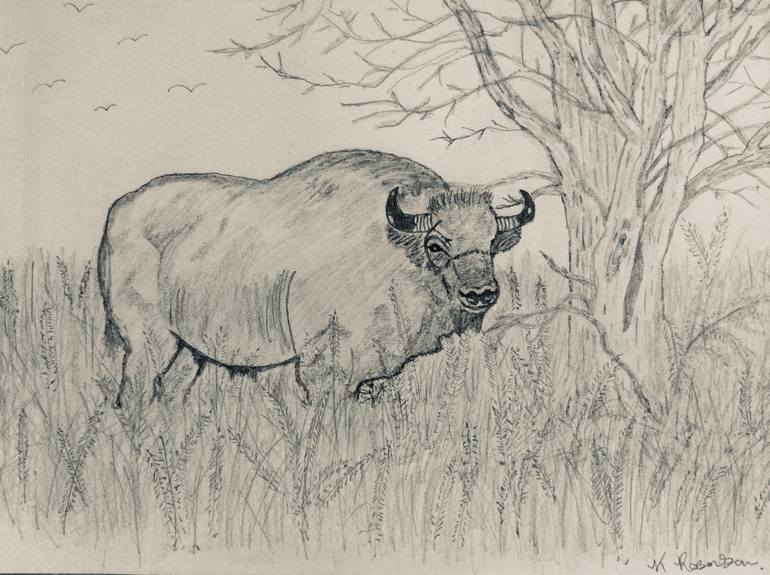 Wild beast Drawing by Boonce Robbo | Saatchi Art
