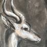 The Gerenuk Drawing by Heather Jackson | Saatchi Art