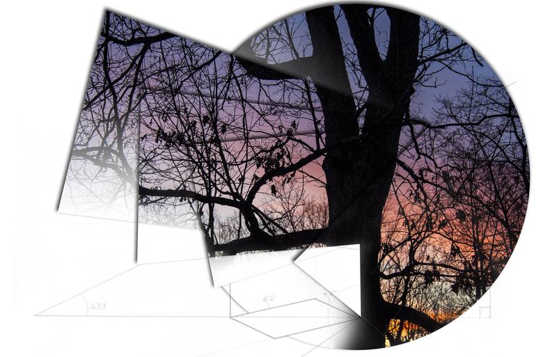 Observer Effect Photography by Lynette Miller | Saatchi Art