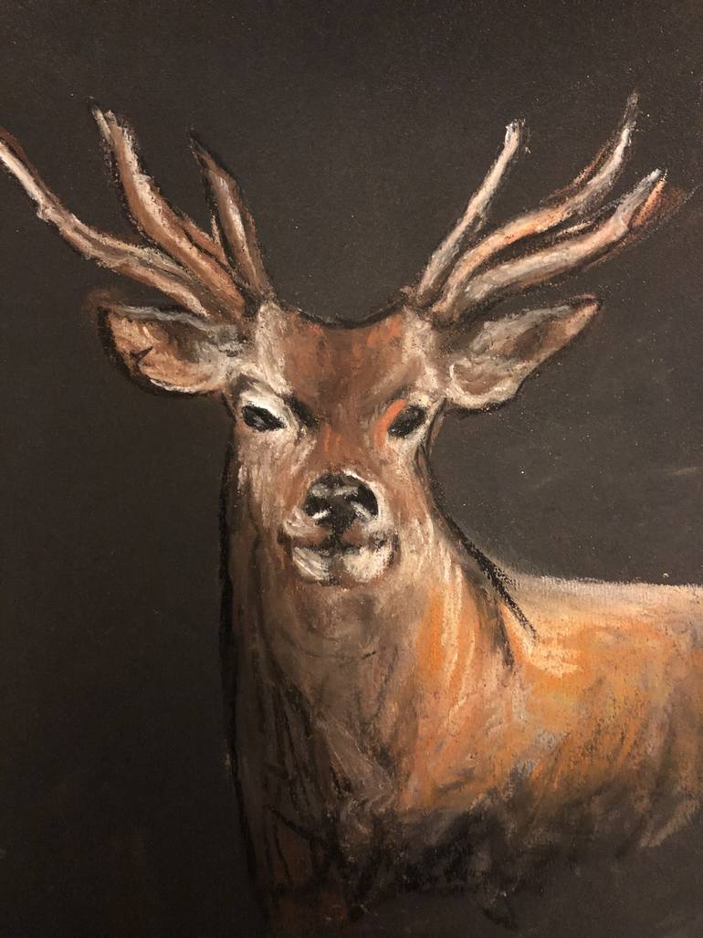 Sambar Deer Drawing by Swetha Reddy | Saatchi Art