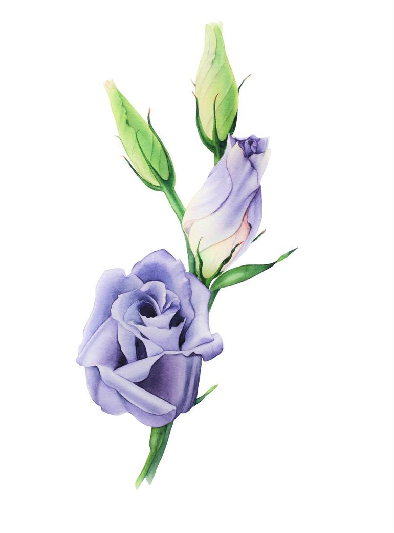 Sprig of eustoma Painting by Alexandra Golovina | Saatchi Art