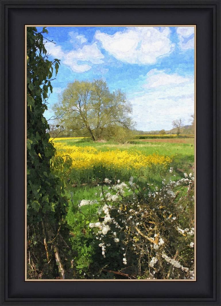 SPRING WALK - Limited Edition of 15 Photography by DAVID LACEY ...