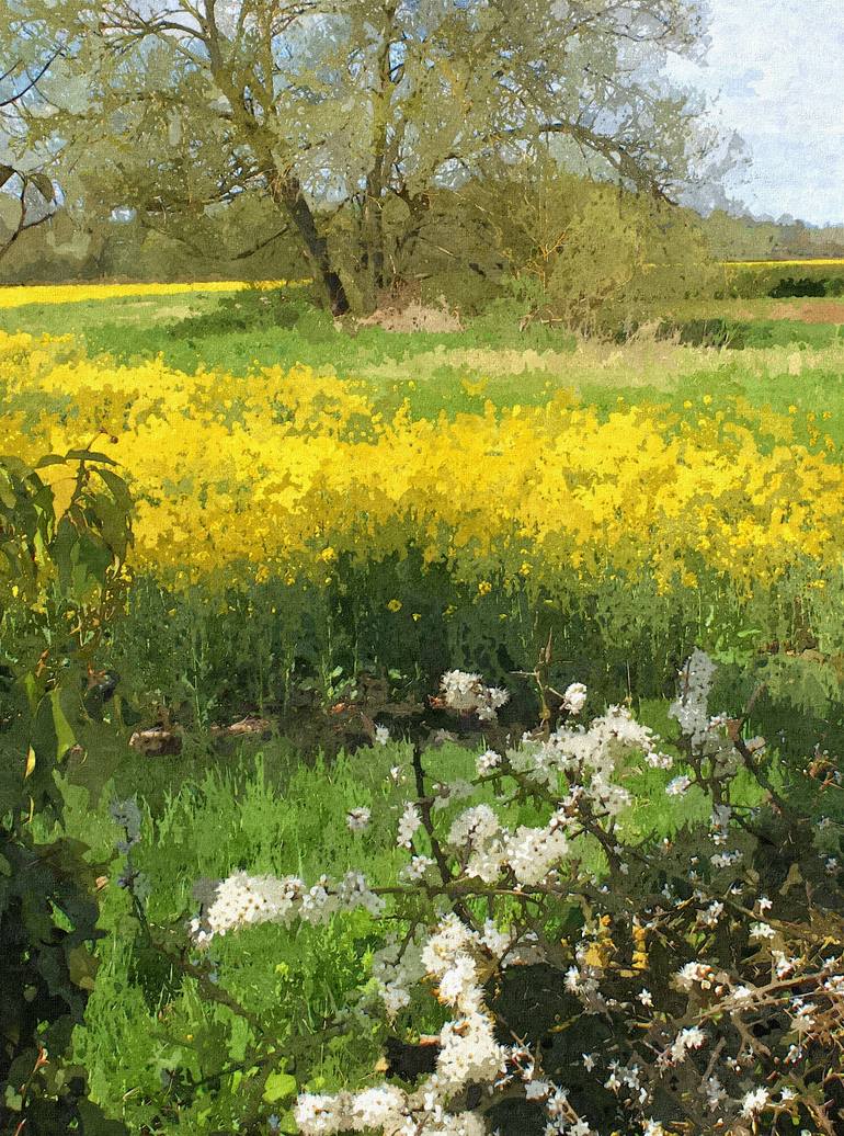 SPRING WALK - Limited Edition of 15 Photography by DAVID LACEY ...