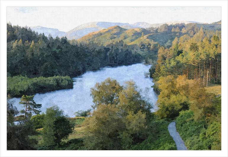 Mountain Forest - Limited Edition of 3 Photography by DAVID LACEY ...