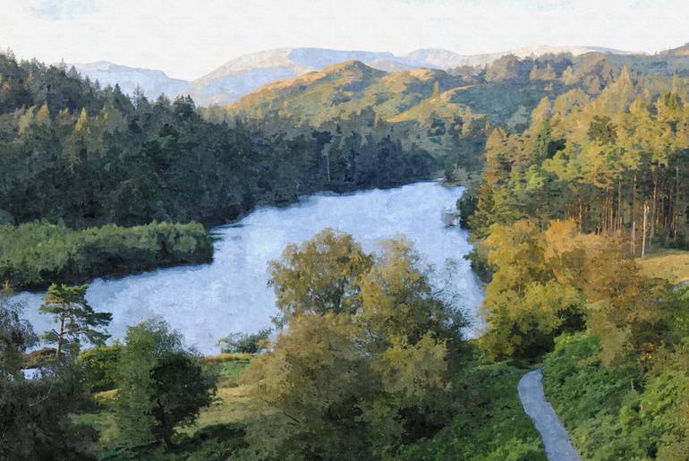 Mountain Forest - Limited Edition of 3 Photography by DAVID LACEY ...