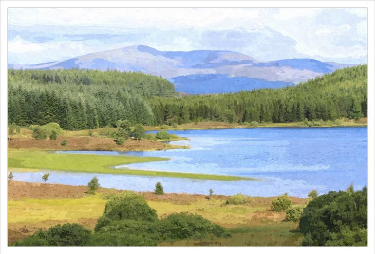 Forest Wild - Limited Edition of 15 Photography by DAVID LACEY ...