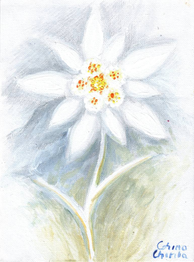 Leontopodium nivale Floare de colt pictura edelweiss flower Painting by ...