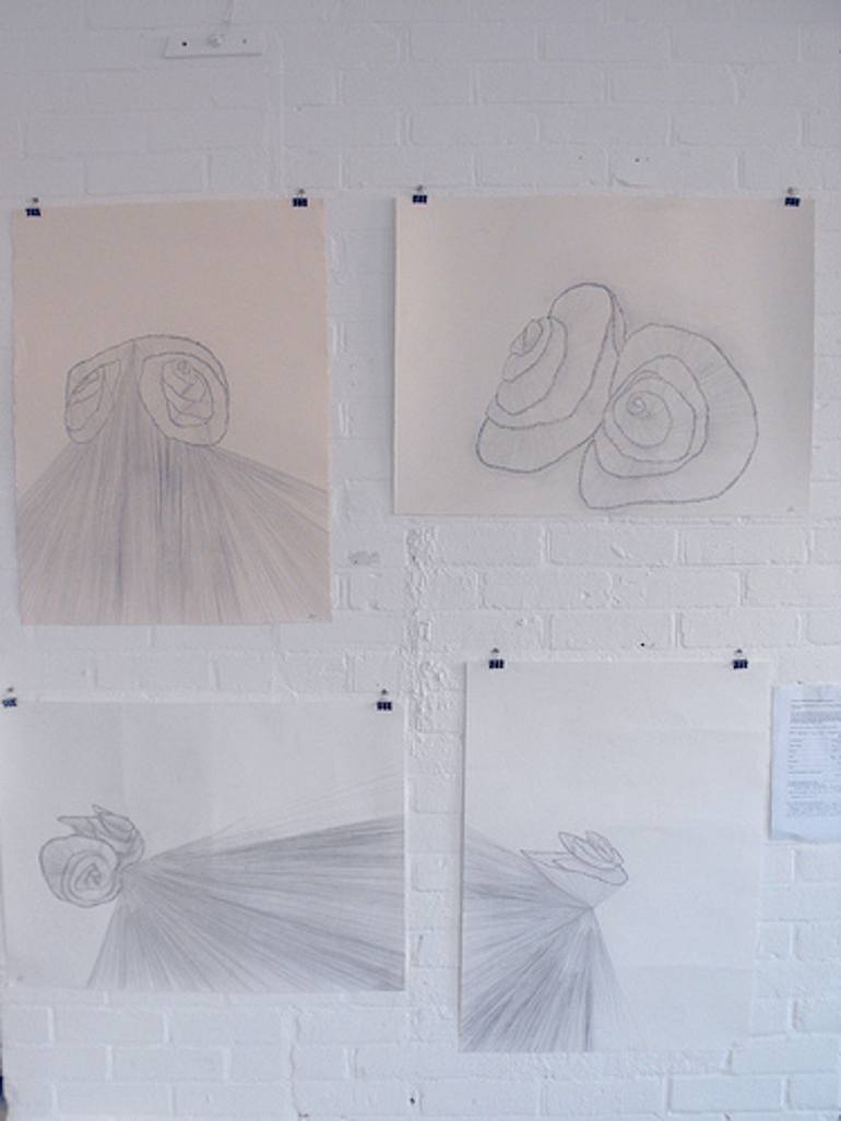 Phylum Phoronida Exhibition Photography by Antii Sullivan | Saatchi Art