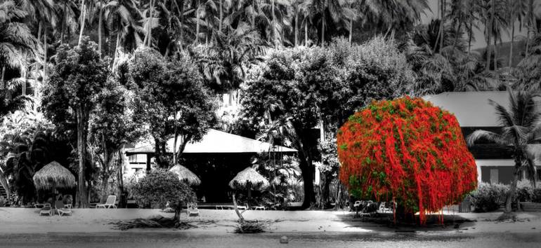 Touch of Art - Limited Edition of 30 Photography by Marco Andras ...