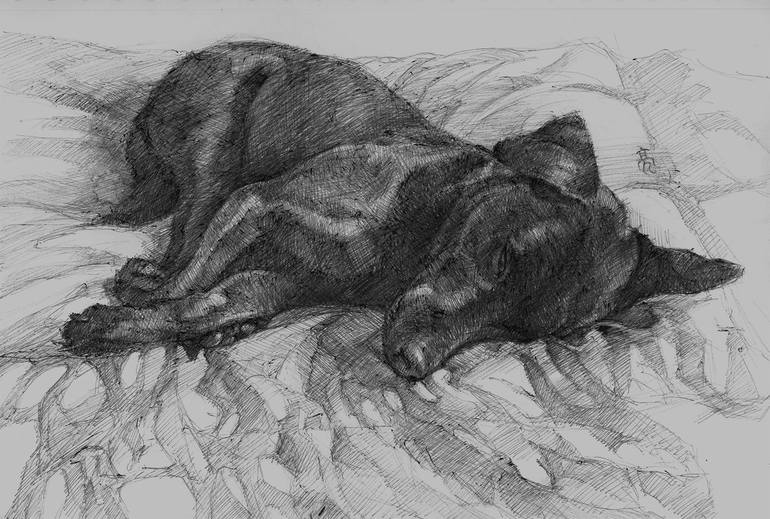A Little Snooze Drawing by Jack Liang Wang | Saatchi Art