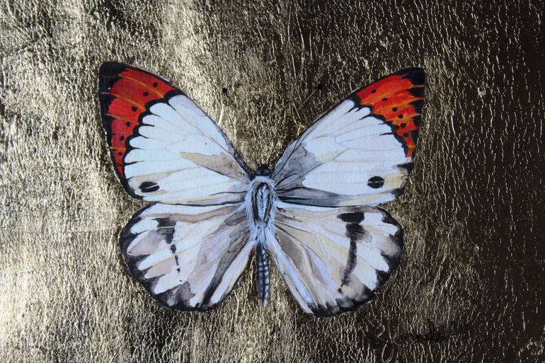 Colotis Ione Ione female Painting by Mia Fernandes | Saatchi Art