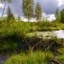 Beaver dam overflowing with water Photography by Sergei Kudriavtcev ...