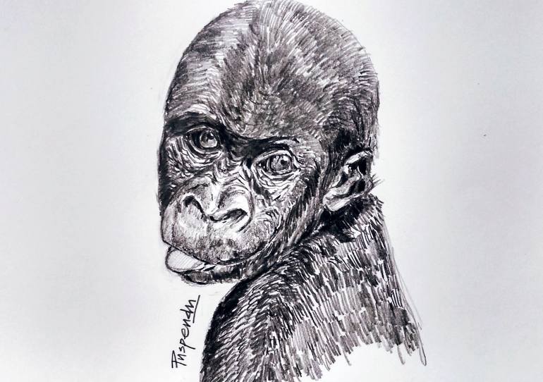 Little Ape Drawing by Puspendu RoyKarmakar | Saatchi Art