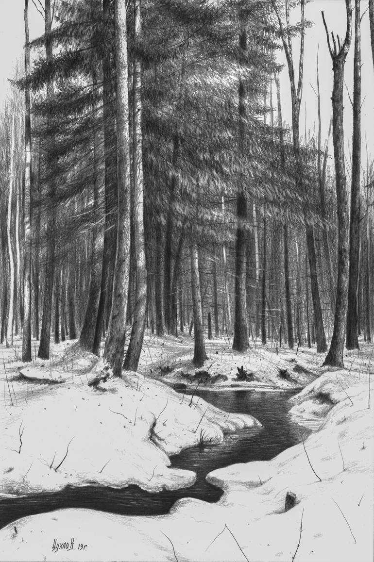 Fluffy spruce Drawing by Vladimir Tsukhlo | Saatchi Art