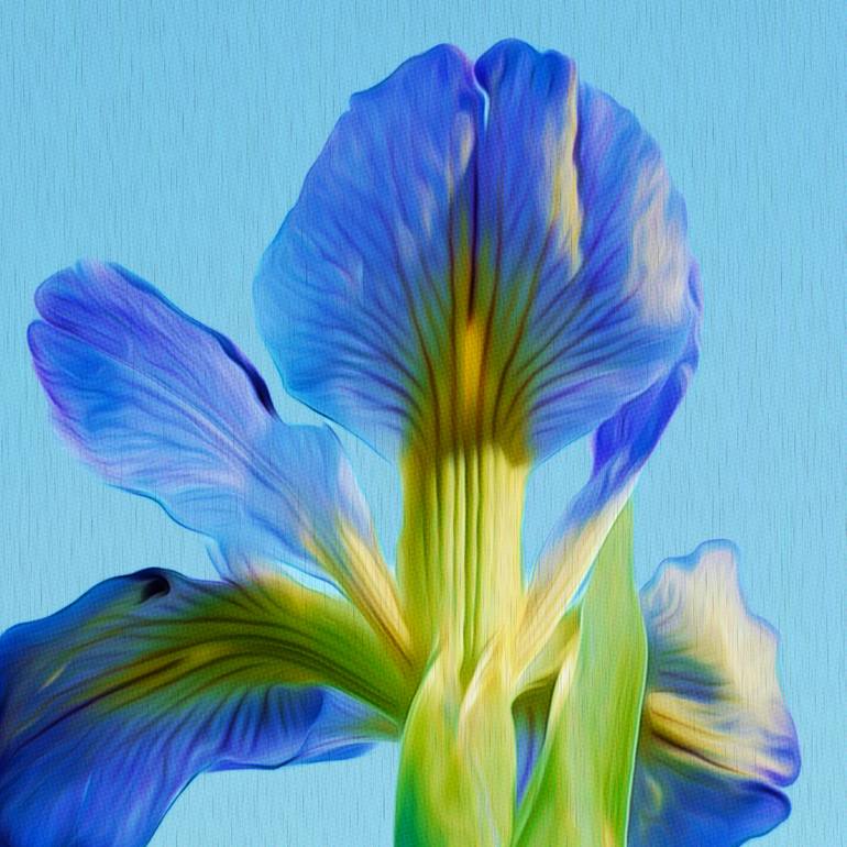 Reaching For The Sky Digital by Scott Gieske | Saatchi Art