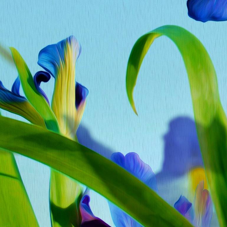 Reaching For The Sky Digital by Scott Gieske | Saatchi Art