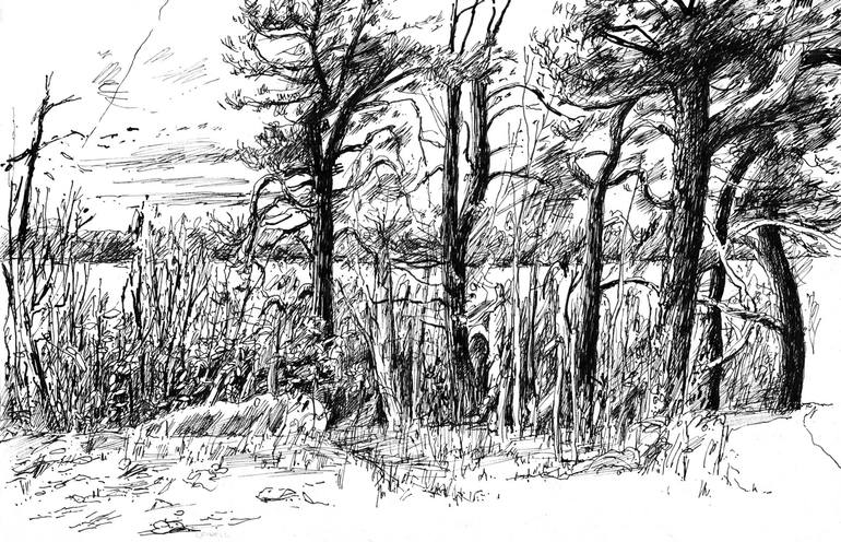 An der Havel Drawing by Peter Scherbarth | Saatchi Art