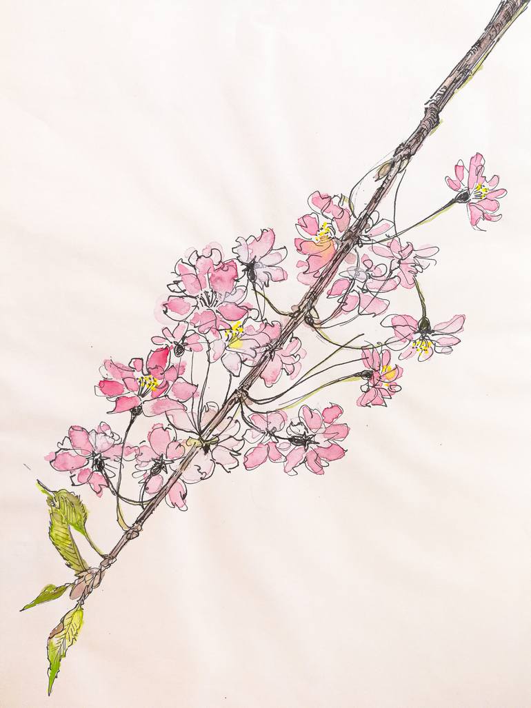 weeping cherry Drawing by Emi Komura | Saatchi Art
