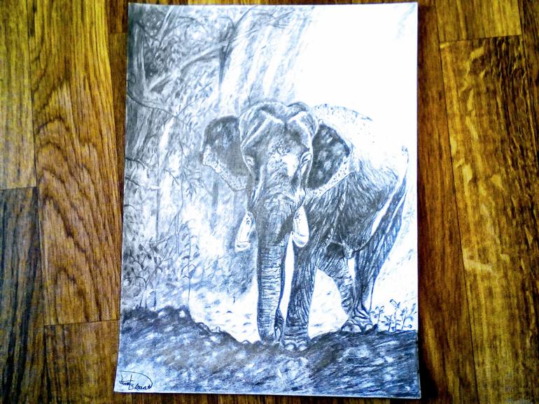 Graphite Elephant Drawing Drawing by Hanna Blount | Saatchi Art