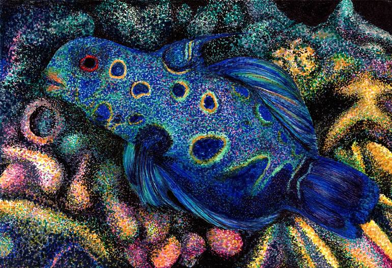 Blue fish Drawing by Timothy Garcia | Saatchi Art