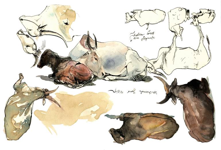 Goan cows Drawing by maria vladimirova | Saatchi Art