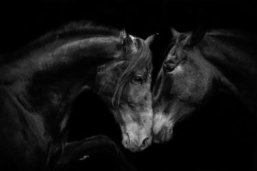 Carol Walker Artworks | Saatchi Art