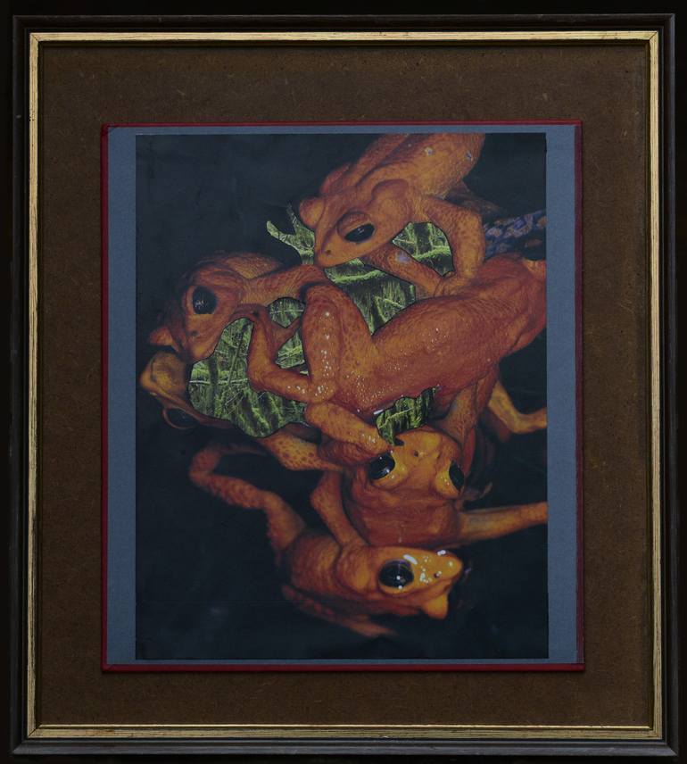 Frog forest Collage by Tim Ridley | Saatchi Art