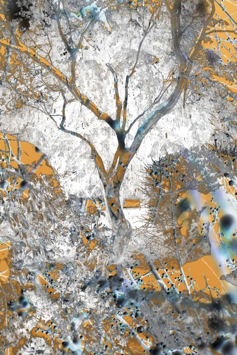 WINTER TREE - Limited edition print 5 of 50 - Limited Edition of 50 ...