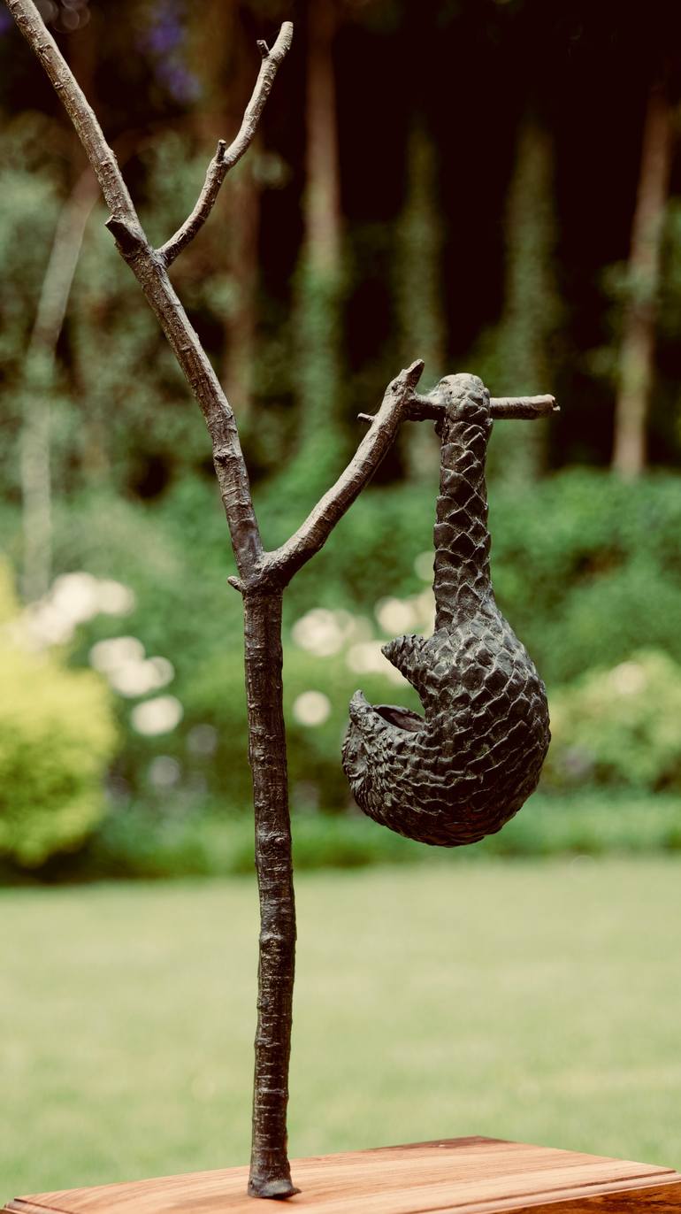 The black-bellied tree Pangolin Hanging about Sculpture by Jonathan ...