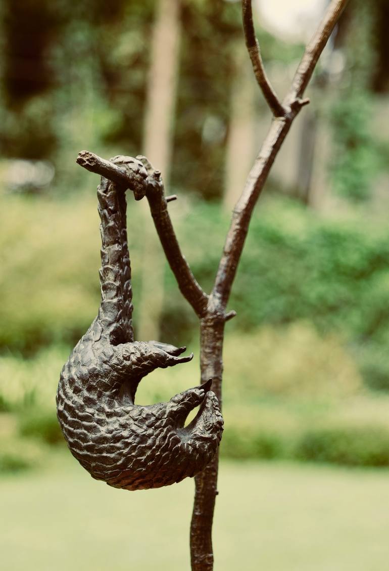 The black-bellied tree Pangolin Hanging about Sculpture by Jonathan ...