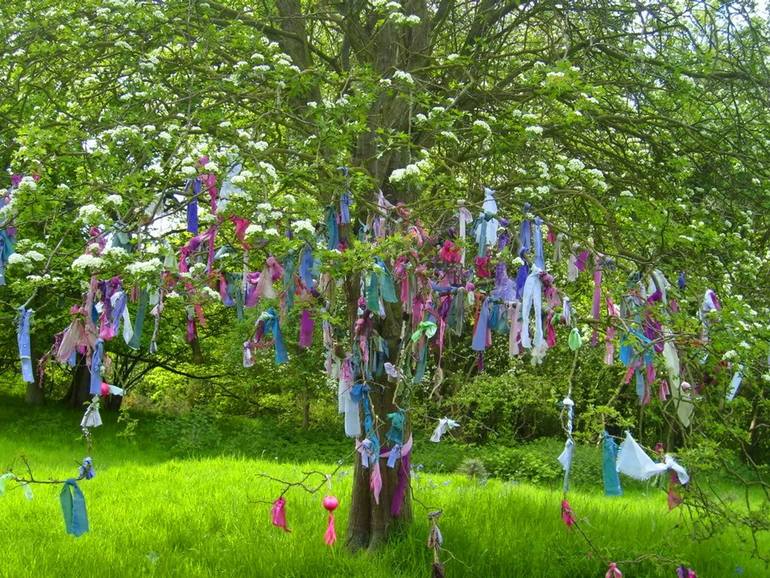 Wrekin Wish Tree Photography by Andromeda Heightz | Saatchi Art