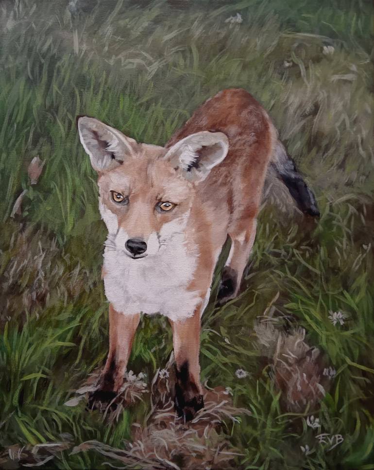 Slinky the Fox Painting by Emily Van Binsbergen | Saatchi Art
