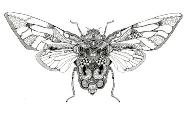 Rosalind Monks | Saatchi Art