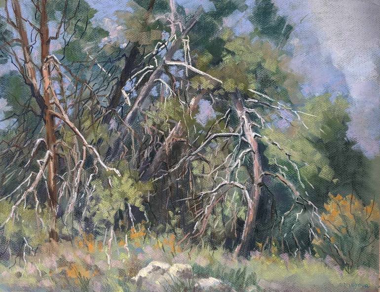 Pine forest Drawing by Alexandra Ilyayeva | Saatchi Art