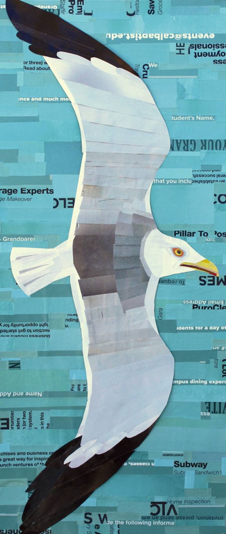 Seagull Flying Collage by James Gooch | Saatchi Art