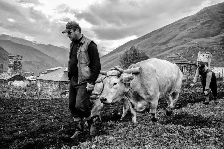 Ushguli Farming Photography by Nir Alon | Saatchi Art