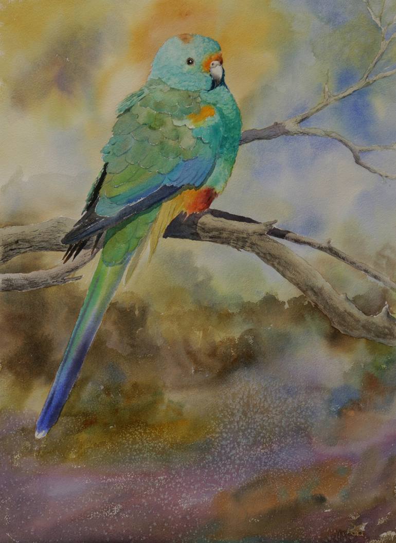 Mulga Parrot Painting by David Burge | Saatchi Art