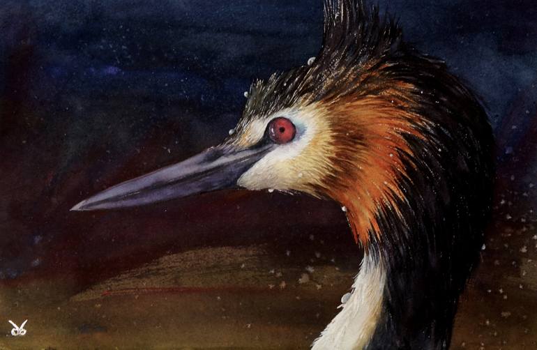 Great Crested Grebe Painting by David Burge | Saatchi Art