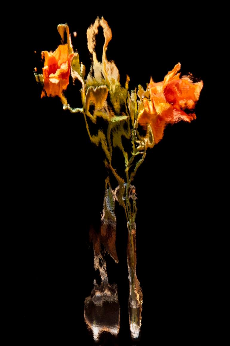 Lily Distortion 175R Photography by Thom Gourley | Saatchi Art