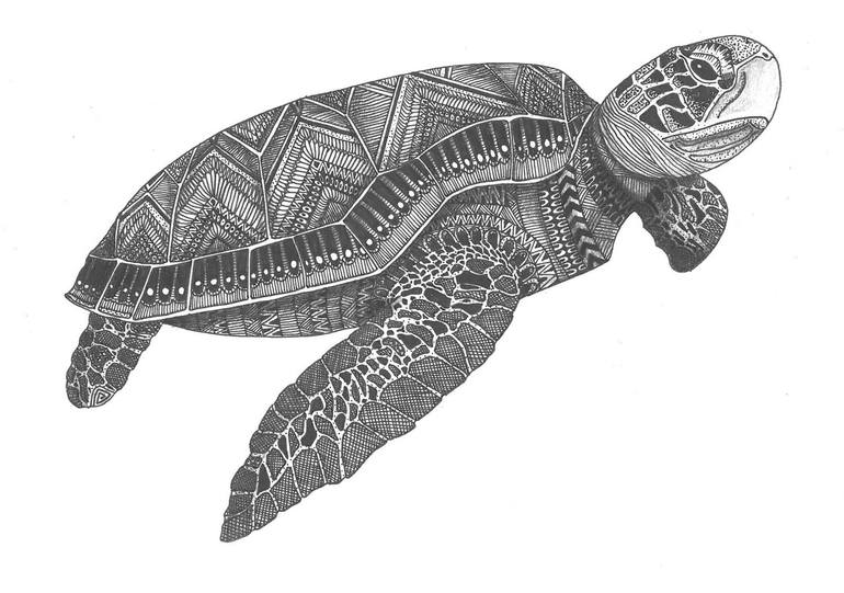 Zentangle turtle Drawing by David Orozco | Saatchi Art