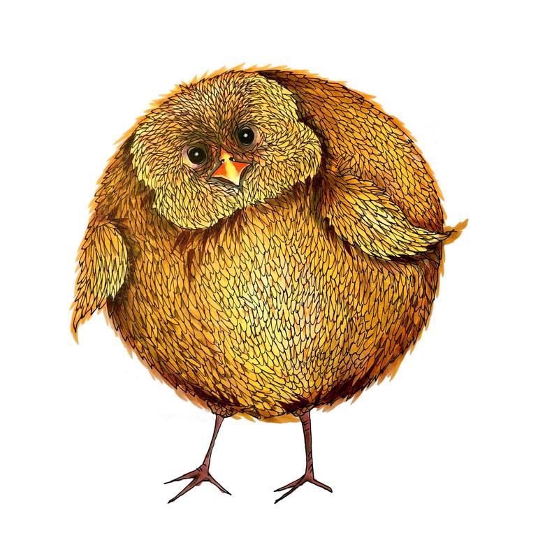 Chick Borb Drawing by Amy Whitman | Saatchi Art