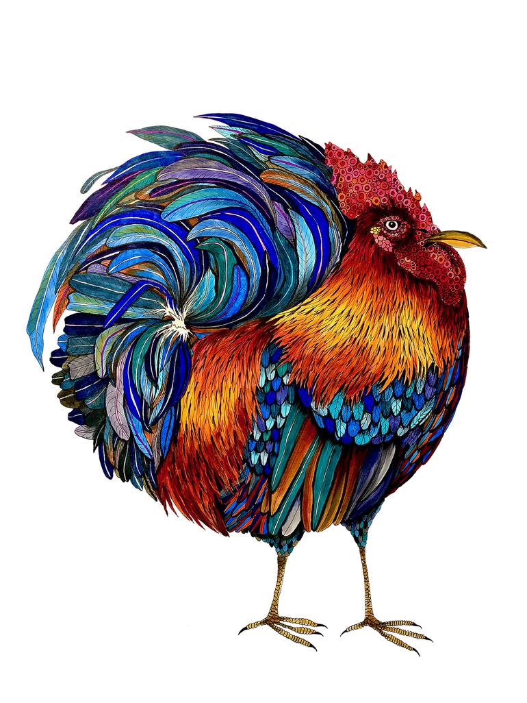 Rooster Borb Drawing by Amy Whitman | Saatchi Art
