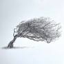 Windswept Tree in Ink. Firmly Rooted, through the a Storm. MSillo, tree ...